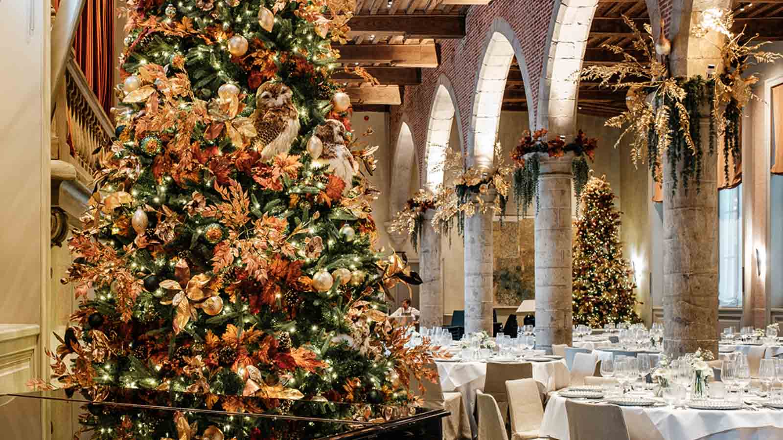 During the holidays, Botanic Sanctuary Antwerp offers a unique venue ...