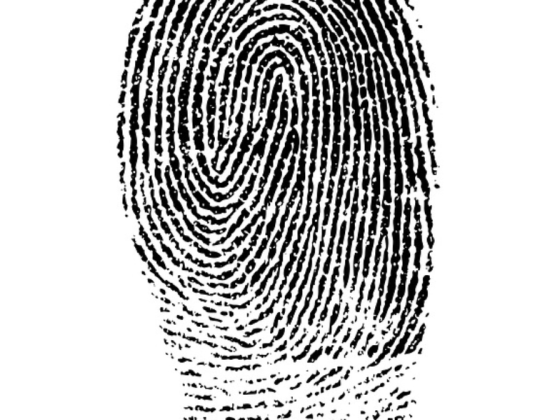 Wat met de digitale vingerafdruk? | StampMedia