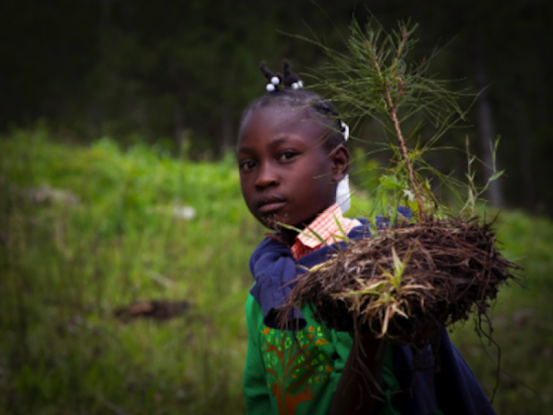 Klimaat en ontwikkeling: een uitdaging voor Europa | StampMedia