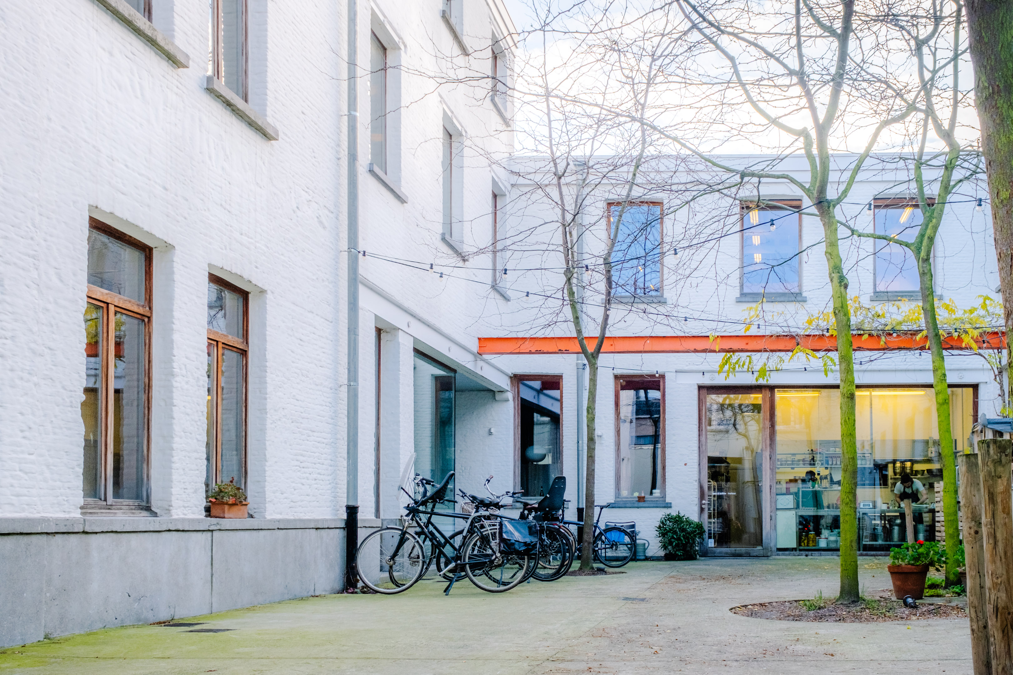 Viva volta: daar doen we het voor | Volta